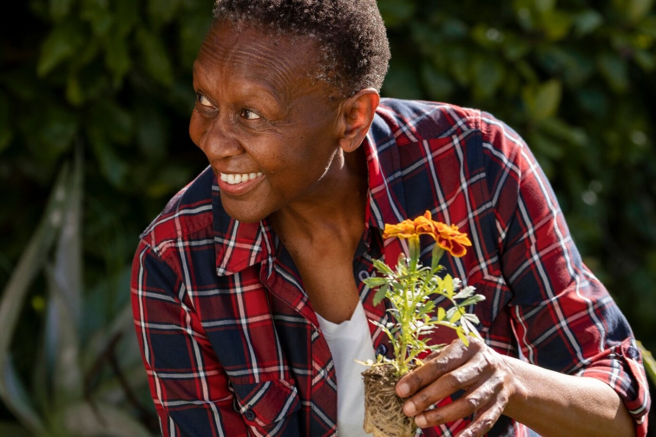 Investment Focus - FICL